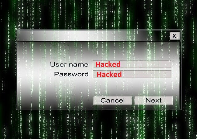 Computer Virus: Effects, How They Spread And How To Remove Them